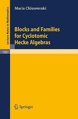 【预售】Blocks and Families for Cyclotomic Hecke Algebras