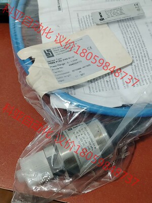 液位传感器  BESI P133-405-G002-01-B