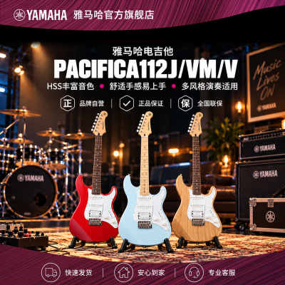 Yamaha/雅马哈官方旗舰店PAC112