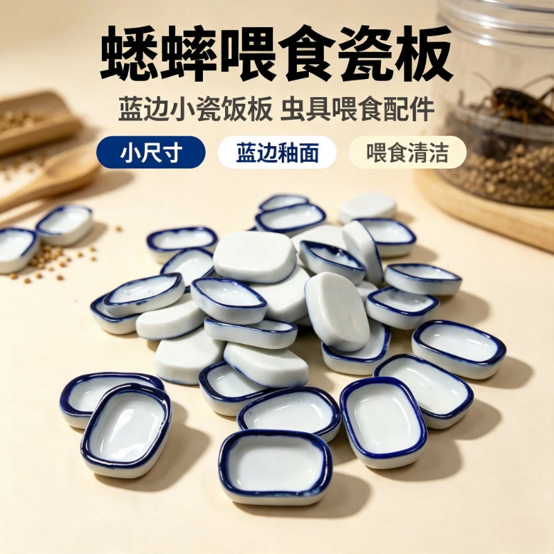 蟋蟀饭板蛐蛐陶瓷食盘食饭碗油葫芦蝈蝈黑虫食槽鸣虫爬虫用品用具