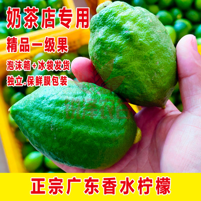 广东香水柠檬果园商用新鲜一级果手打奶茶店专用四季无籽柠檬