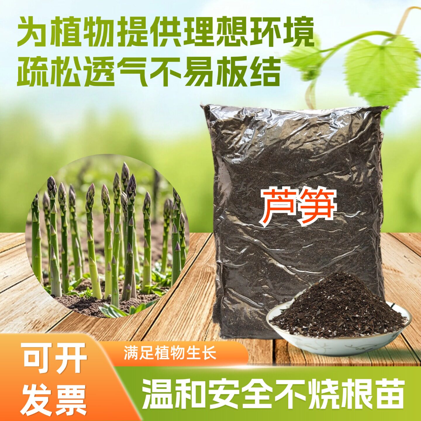 白绿芦笋小青竹笋春笋椰糠土盆栽花卉植物翻换透气种植专用营养土