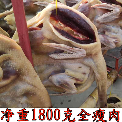 腊鸭子整只咸老鸭湖北特产风干鸭