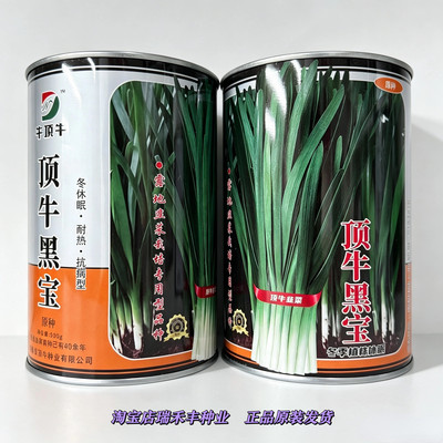 顶牛黑宝韭菜种子株型直