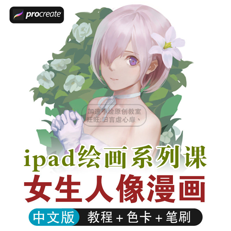 ipad procreate女生插画视频教程人物人像q版板绘商业零基础_虎窝淘