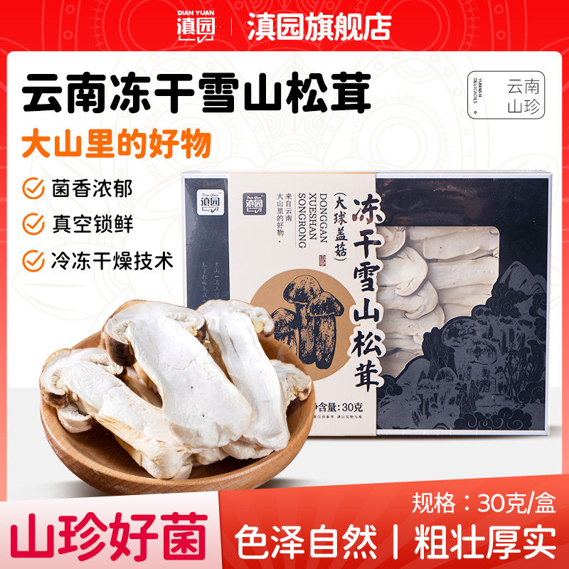 滇园 冻干雪山松茸30g/盒松茸干片干货煲汤旗舰店云南非野生菌子