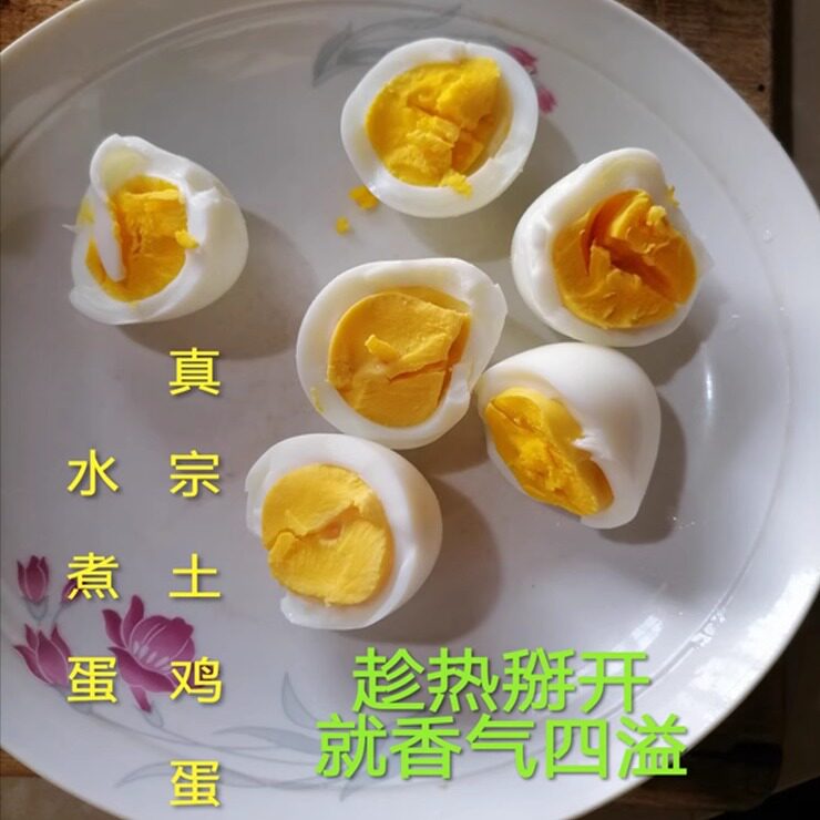 正宗土鸡蛋农村自养纯粮土鸡蛋笨鸡蛋柴鸡蛋野外散养土鸡蛋50枚