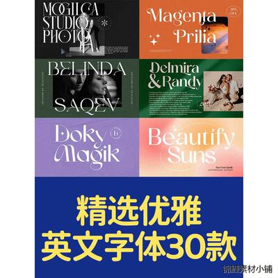 高级感轻奢衬线英文字体包风格pr/procreate字库ps下载海报设计