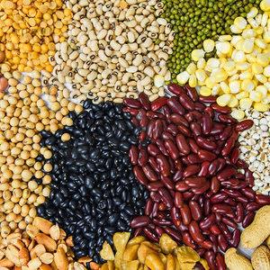 Indian pules 印度豆子 moong dal Chana dal red dal 1kg Rajma