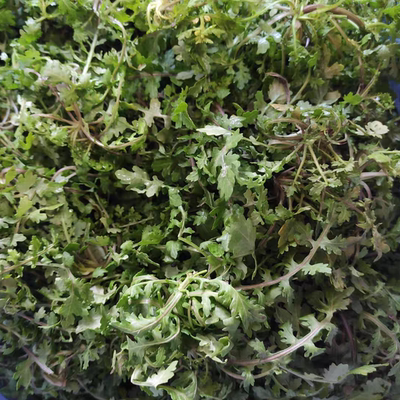 安徽安庆野生荠菜新鲜蔬菜 农家现挖当季野菜荠菜馄饨包子馅 包邮