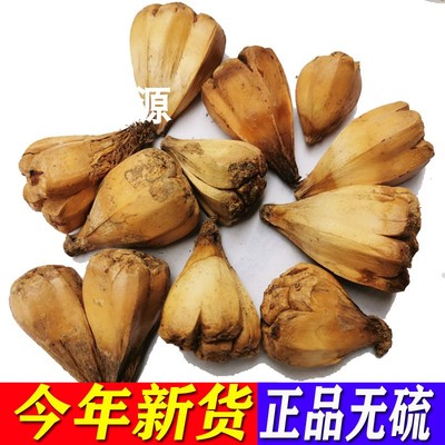 野生山菠萝中药材野菠萝假菠萝果