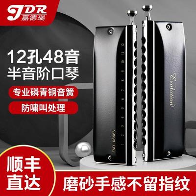 半音阶口琴12孔C调EVO-064