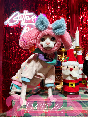 德文帽子YMDR德文衣服无毛猫衣服