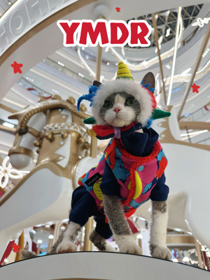 YMDR原创德文衣服猫帽子年兽福瑞吉祥宠物拜年服红红火火双面马甲