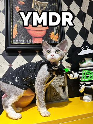 YMDR德文猫衣服德文配饰夏季清凉