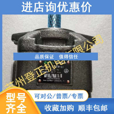 艾伯特AIbert油泵T6CC-031-008-1R15-C100