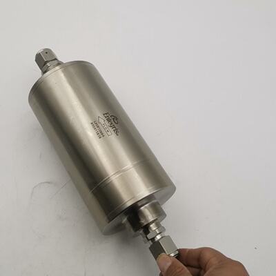 Entegris 单向阀过滤器LPDF10RR4，型号LPD--议价商品