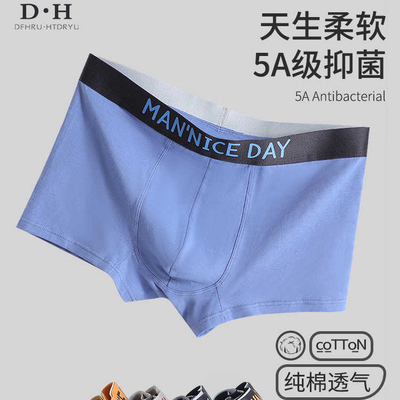 DH5A抑菌纯棉内裤2025新款