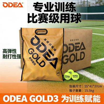 Odea欧帝尔DD3网球高弹性耐打练习球无压散装比赛训练球gold3