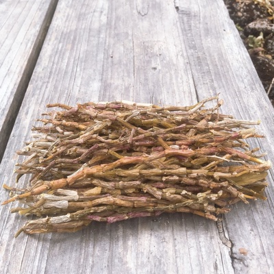 南昆深山正宗铁皮石斛新鲜