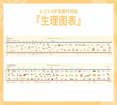 蒙氏生理图表蒙台梭利AMI 03—36幼儿心理感官动作时间线益智礼物