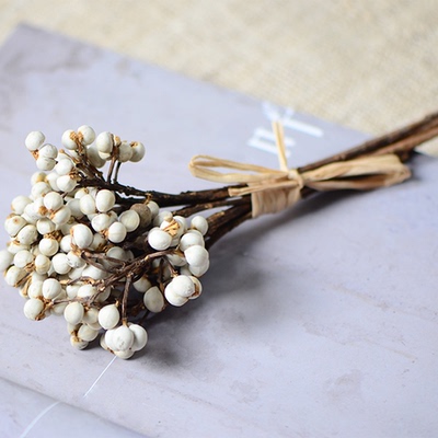 【小白果】北欧民宿风格装饰插花 乌桕果 干花环材料 手工DIY花瓶