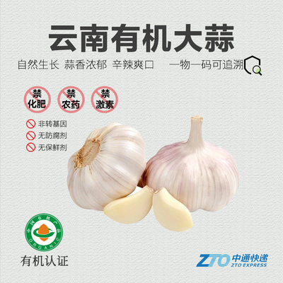 有机大蒜2025新蒜云南高原紫皮蒜新鲜蔬菜新蒜瓣蒜头干蒜（散装）