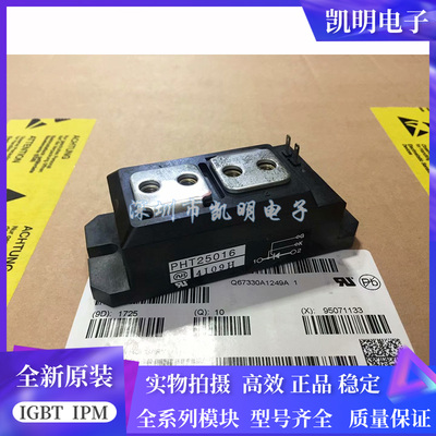 全新PHT250N16 PHT25016 PHT2508 PHT15012 PHT3008CT PHT40016
