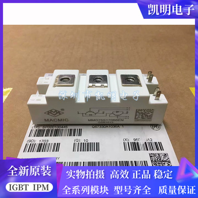 MMG150S060B6R MMG200S060B6EN MMG100S170B6EN MMG75S170B6EN 50