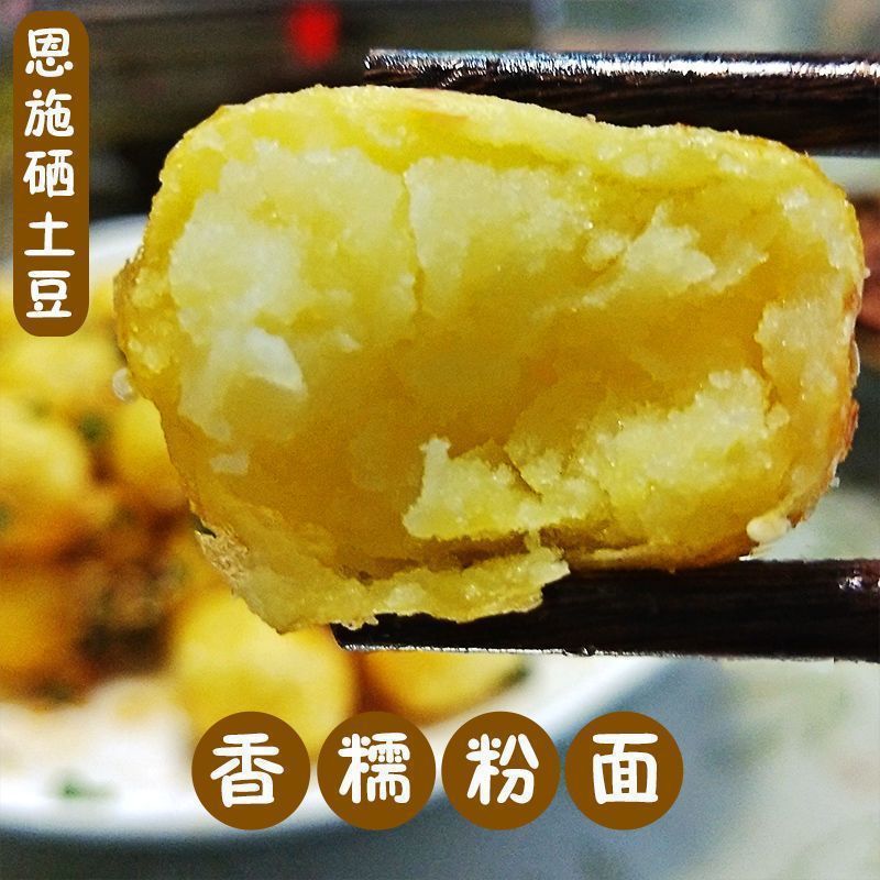 湖北恩施富硒黄心土豆新鲜米拉小土豆老品种食用农产品高山洋芋