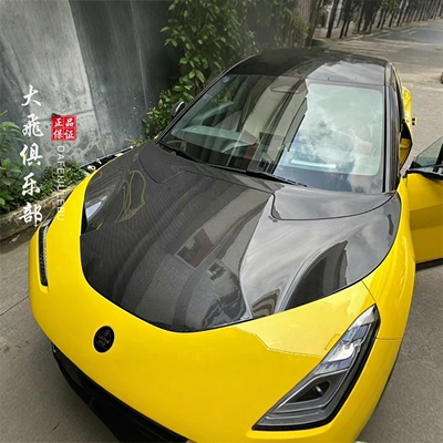 Eletre改装干碳纤维机头盖装饰条