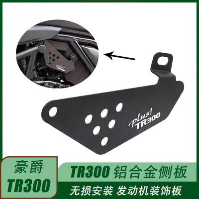 适用豪爵新款TR300 PLUS改装盖帽配饰摩托侧面挡板电器遮盖板防水