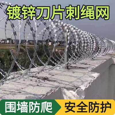 衡特河北热镀锌刀片刺网防爬防盗