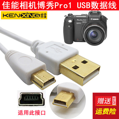 Canon佳能N2 N100 Pro1 S90 S95 S100V S110 S120相机USB数据线