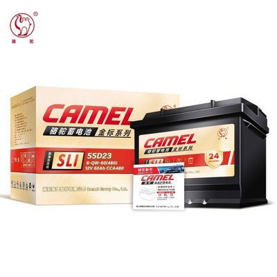 骆驼金标旗舰版56318 蓄电池上门安装 以旧换新 【24个月质保】