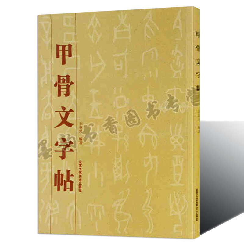 甲骨文字帖 拓片放大字帖范本 殷墟龟甲文字考释研究 书法字帖练习临摹学习 北京工艺美术出版社 正版书籍