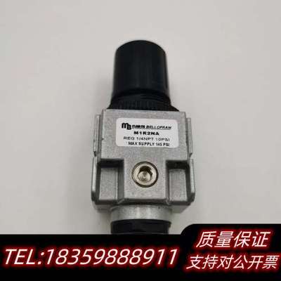 M1R2NA REG 1/4NPT 10PSIM询价