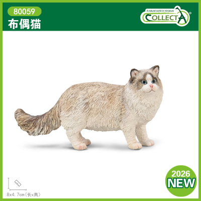 CollectA仿真布偶猫模型儿童玩具