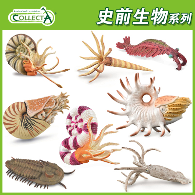 英国CollectA我你他史前海洋动物模型古生物昆虫儿童甲壳类合集