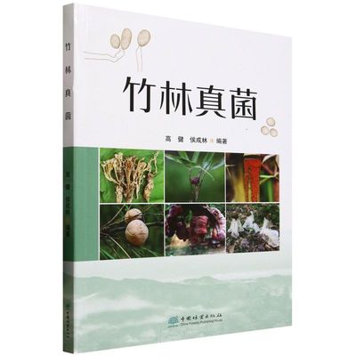 竹林真菌 &2911