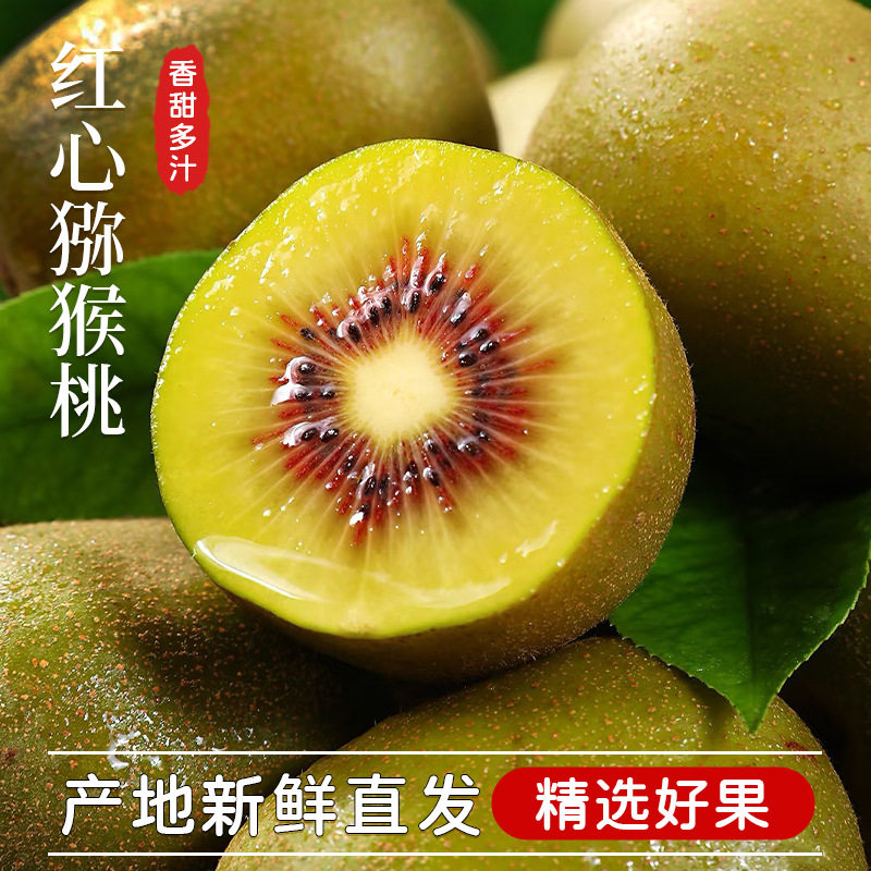 正宗四川蒲江红心猕猴桃奇异果新鲜当季现摘水果整箱礼盒大果