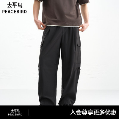 【商场同款】太平鸟男装字母刺绣休闲裤新款工装阔腿裤B2GLG2276