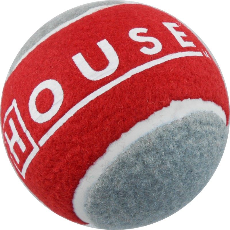5寸大网球充气球摆设送礼品纪念品豪斯医生House, M.D