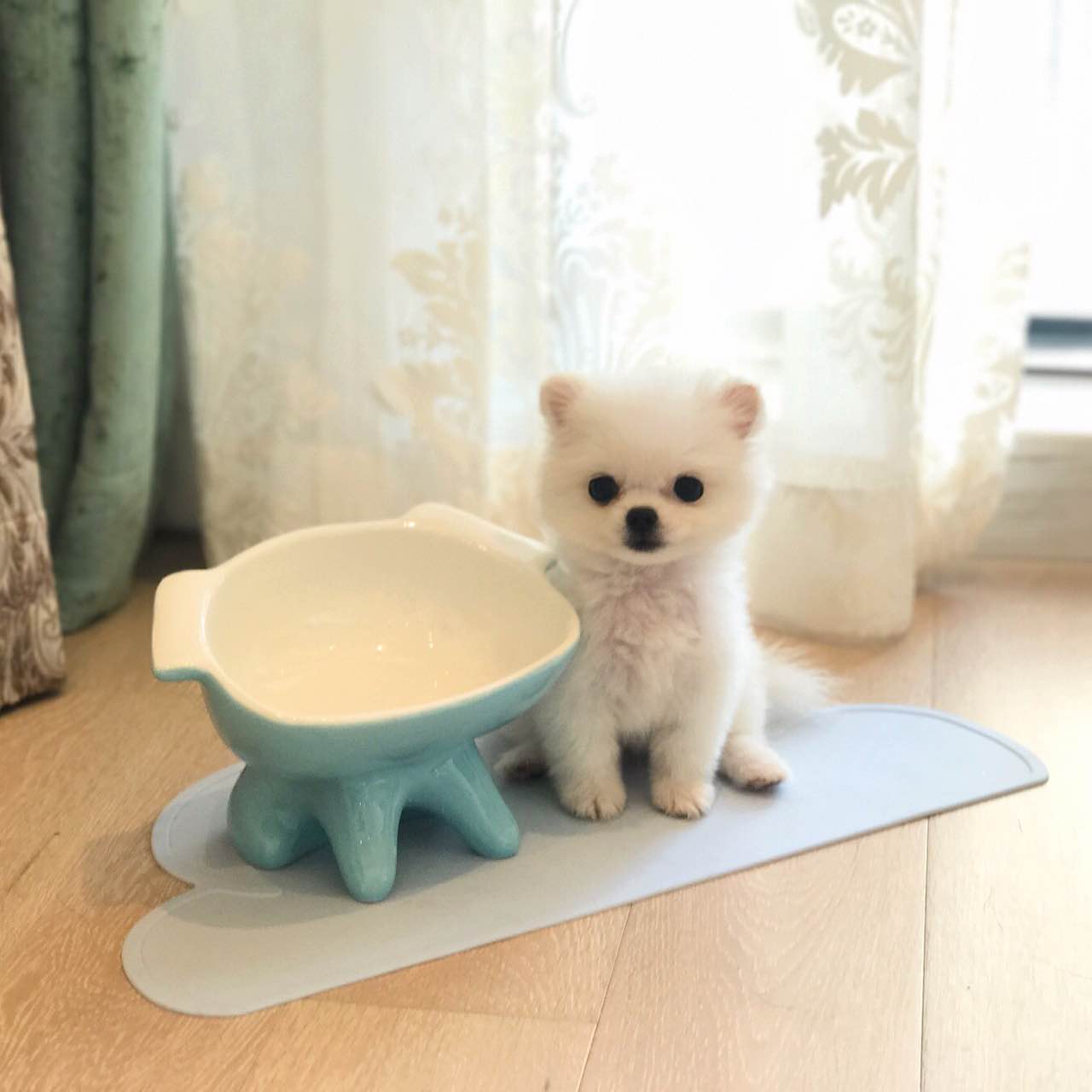ViviPet新品宠物小呆碗陶瓷猫狗食盆水碗 可爱汪汪造型宠物碗包邮