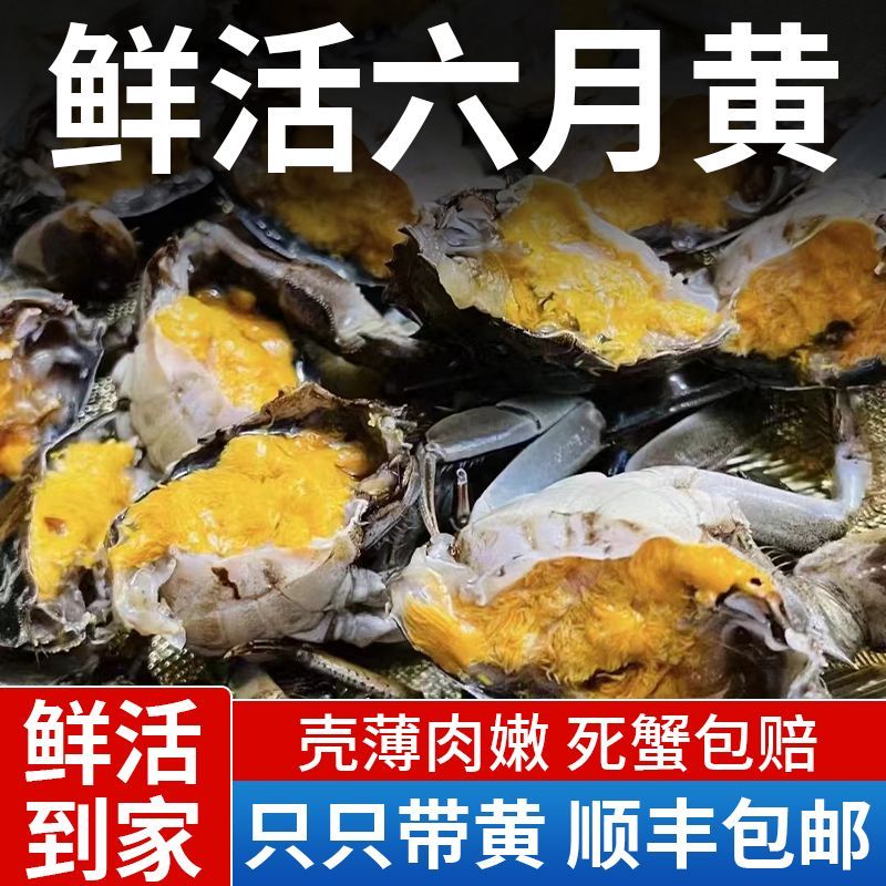 盘锦河蟹稻田母鲜活大闸蟹特大六月黄新鲜海鲜活蟹顺丰包邮20只装