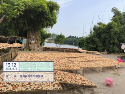 四川大红袍品种红橘川陈皮中药材陈允斌同款内江资中老树红桔皮