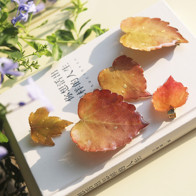 强推，爬山虎树叶秋冬文艺复古红棕色怀旧发饰真花侧边发夹鸭嘴夹