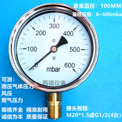 100MM立式0~600mbar气压表，燃气气压表，燃气压力表