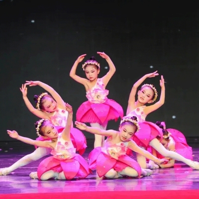 六一儿童荷花舞蹈朵朵开蓬蓬裙