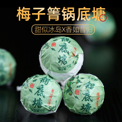 临沧永德梅子箐锅底塘古树生普洱